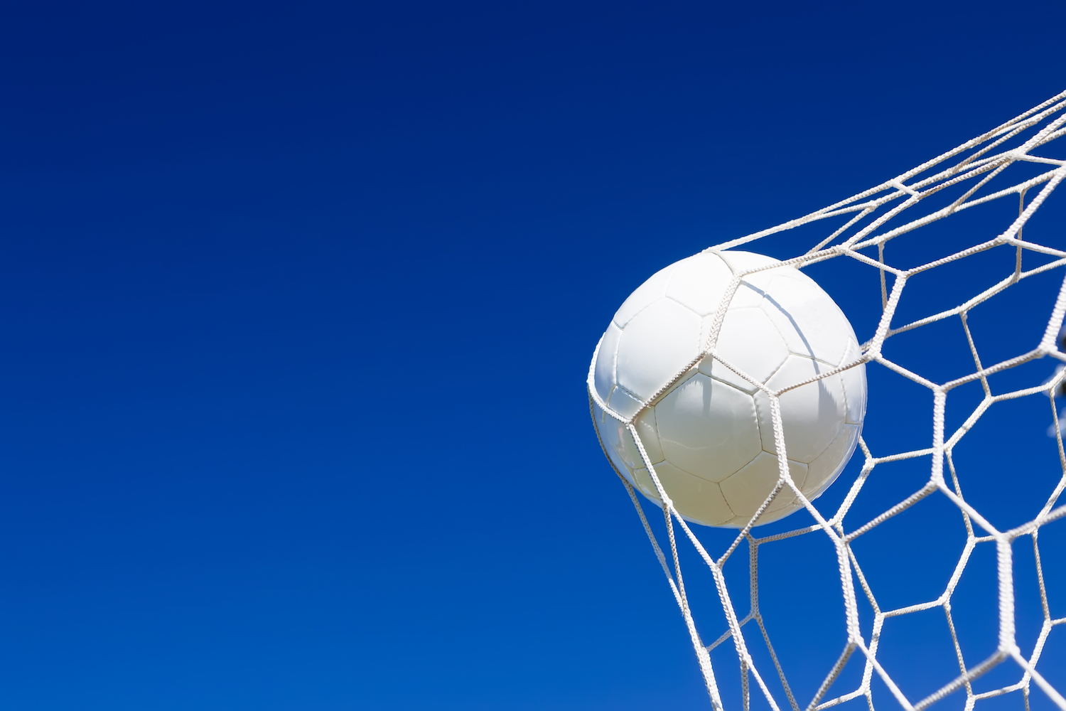 Back of the Net! - PurityBridge